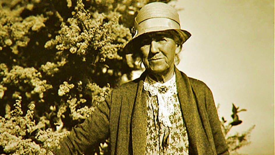 Kate Sessions: Did You Know? | Garden America