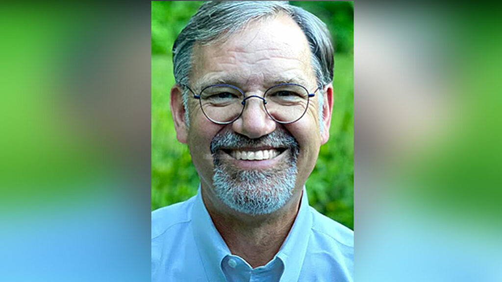 Mathematical Patterns In Sunflowers | Garden America