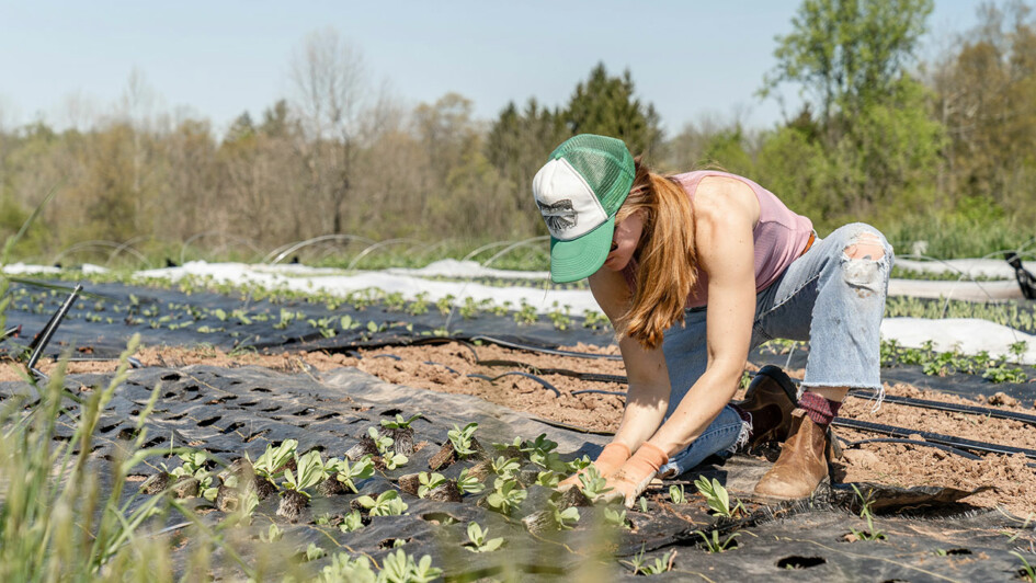 National Gardening Exercise Day: Did You Know? | Garden America