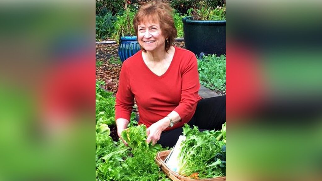 WATCH: Time For Seeds with Renee Shepherd [5.21.22] | Garden America