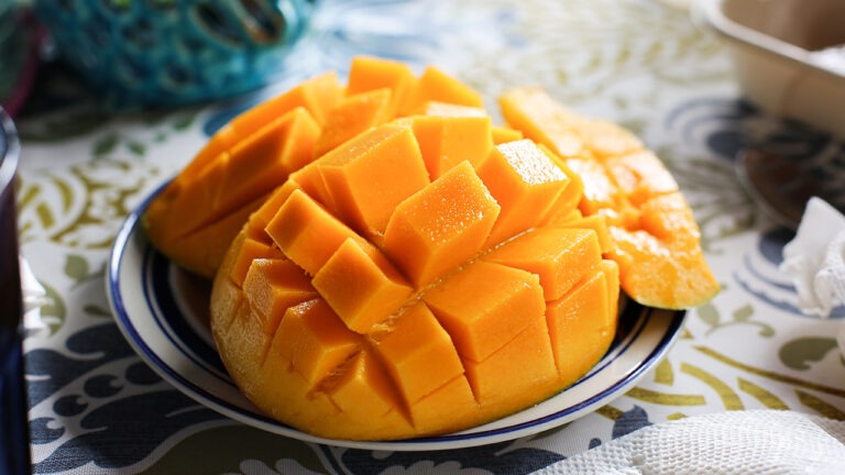 History of The Mango | Garden America