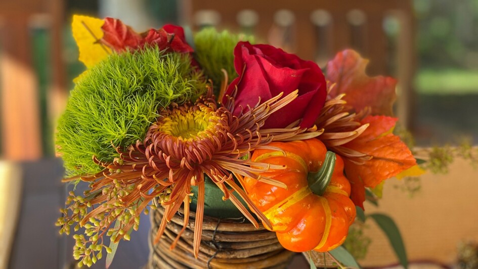 Cornucopia: Did You Know? | Garden America