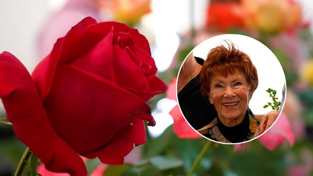 Marion Ross & Rose Auction Show Event Recap | Garden America