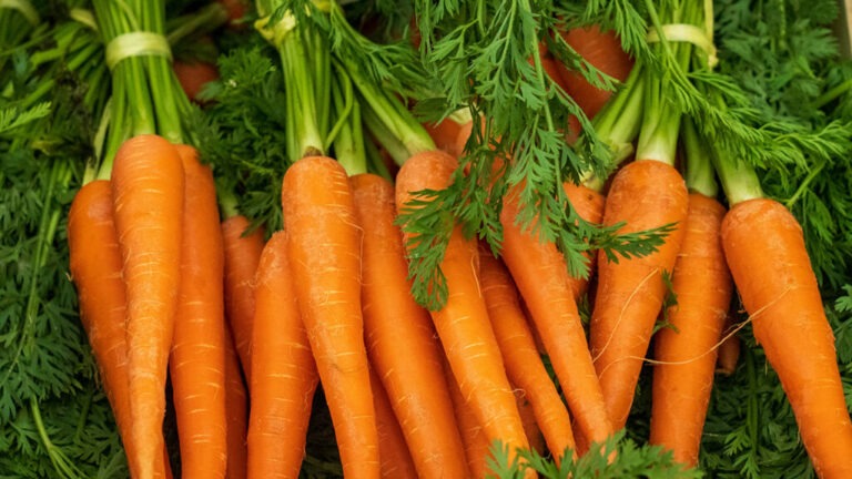 Smart Carrots: Did You Know? | Garden America