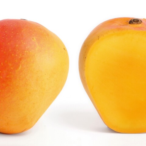 Tomato History: From Aztec Origins to Global Culinary Icon | Garden America