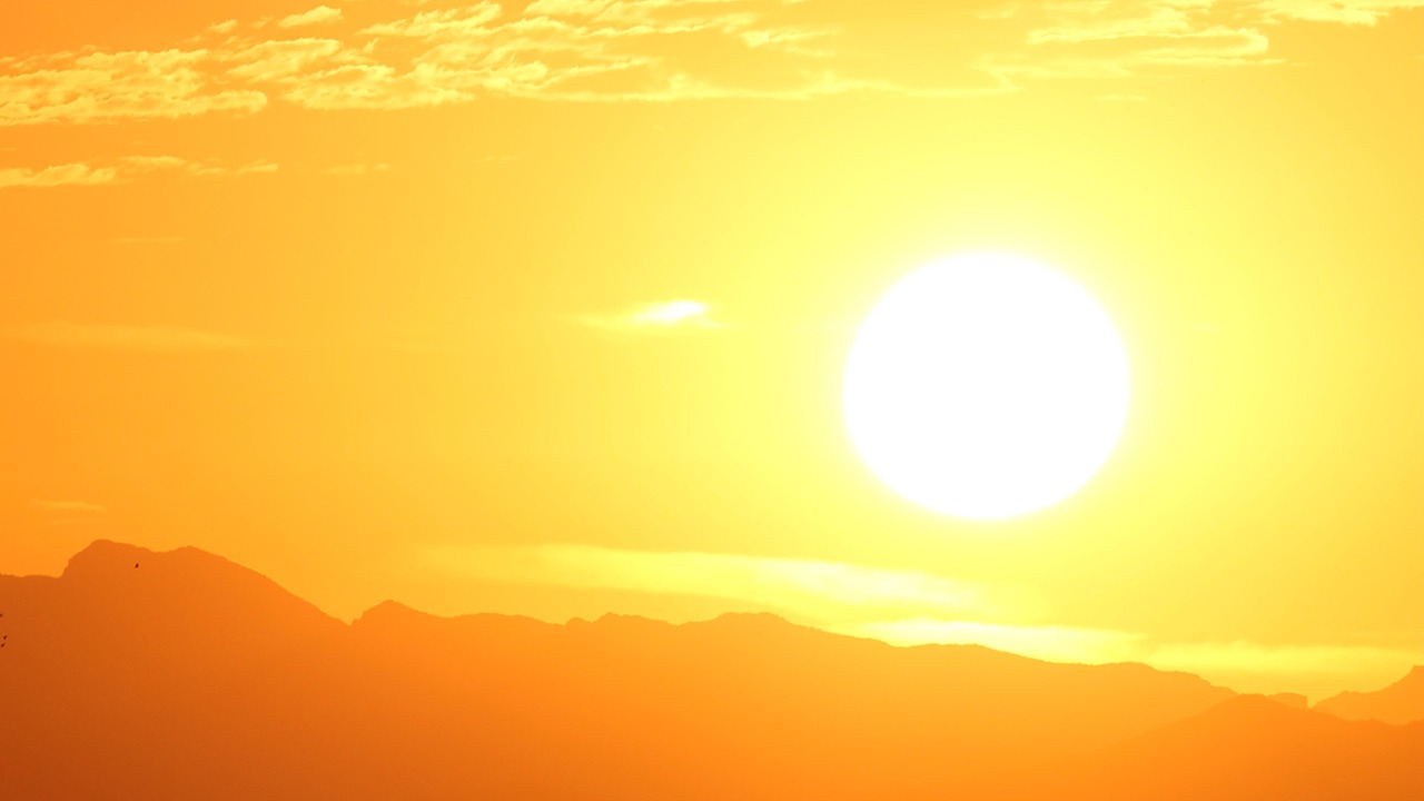 PODCAST: Tips To Combat Heat In The Garden [7.8.23] | Garden America