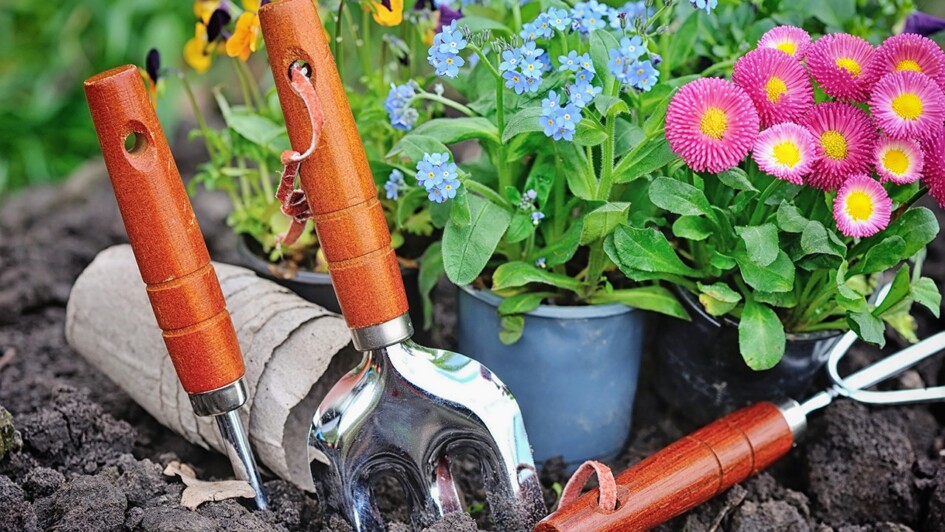 5 Hot Weather Gardening Tips For Southern California | Garden America