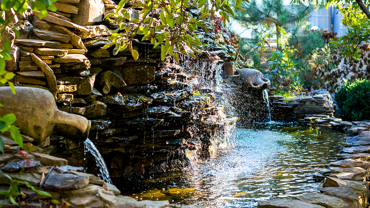 PODCAST: Landscape Design Build Tips with Danielle Moher [1.13.24 ...