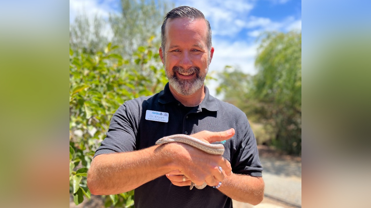 VIDEO: Helping Animals with Dr. Jon Enyart of Project Wildlife [2.3.24 ...