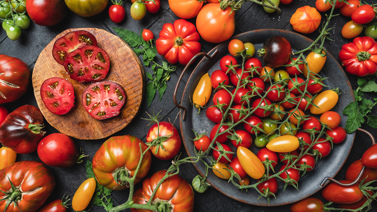 PODCAST: Exciting Tomato Varieties with Scott Daigre [3.30.24] | Garden ...