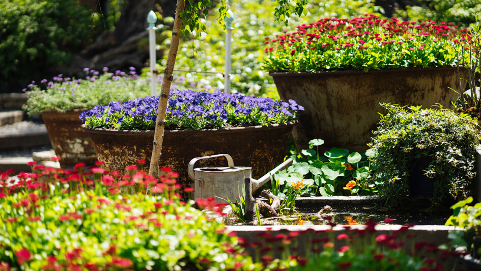 June Gardening Tips: Transitioning from Late Spring to Early Summer ...