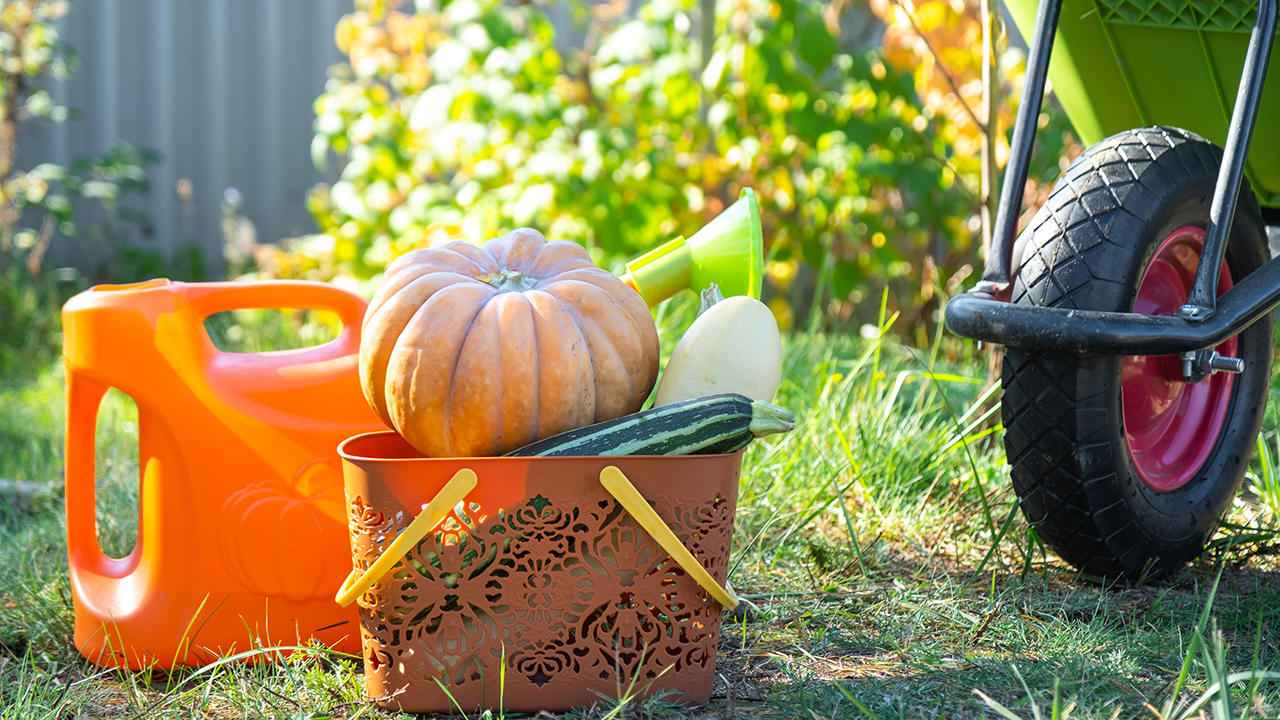 PODCAST: Fall Gardening Tips & Tricks [9.21.24] | Garden America