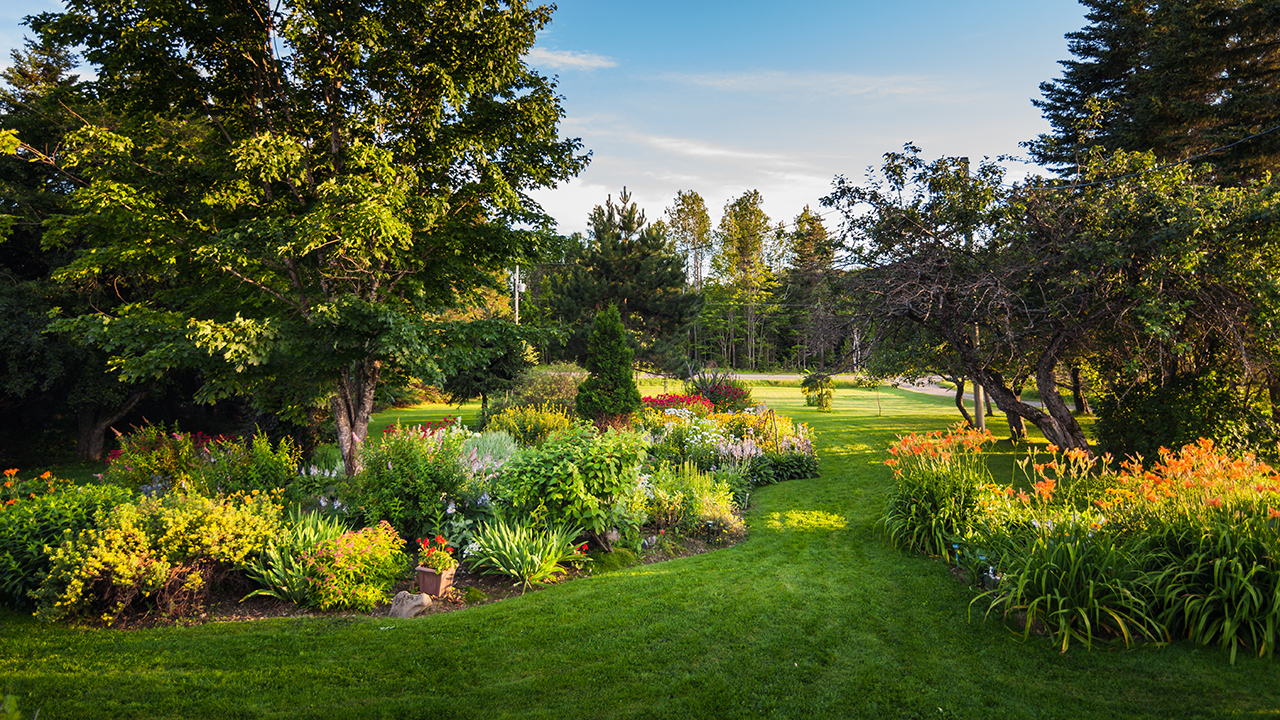 PODCAST: Rehabbing Landscapes & Planting Native Plants with Greg Rubin ...