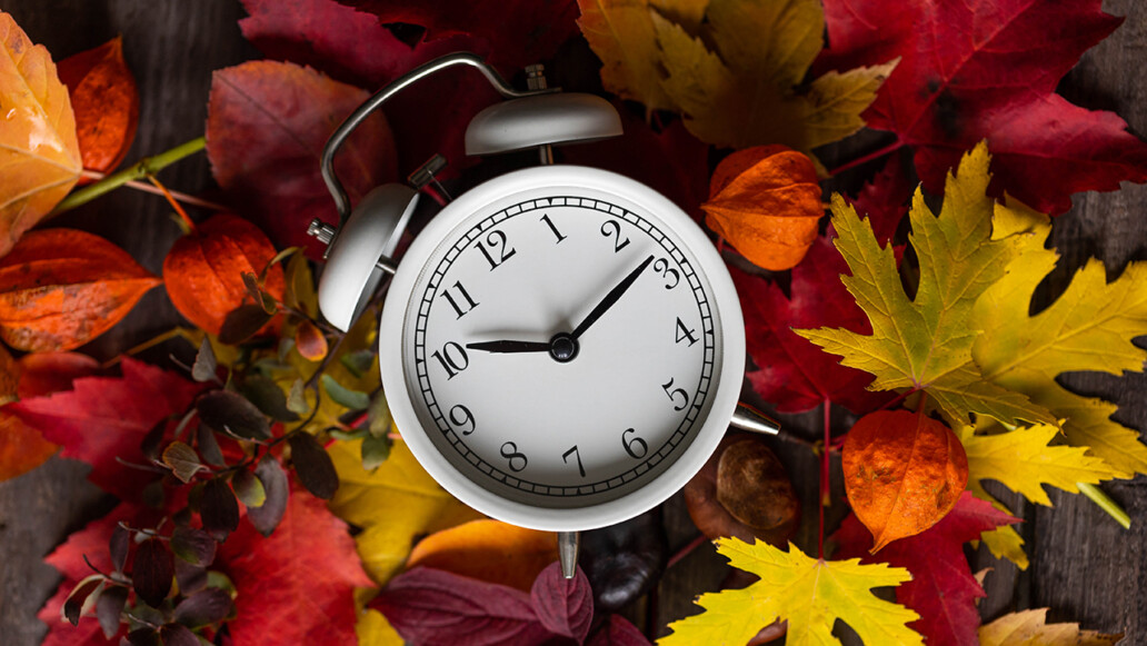 Falling Back: The Impact and History of Daylight Savings Time | Garden ...