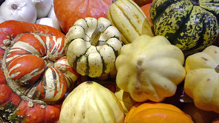 Winter Squash: Nature’s Sweet and Versatile Storage Hero | Garden America