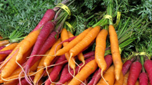 Carrots Were Originally Purple: Did You Know? | Garden America